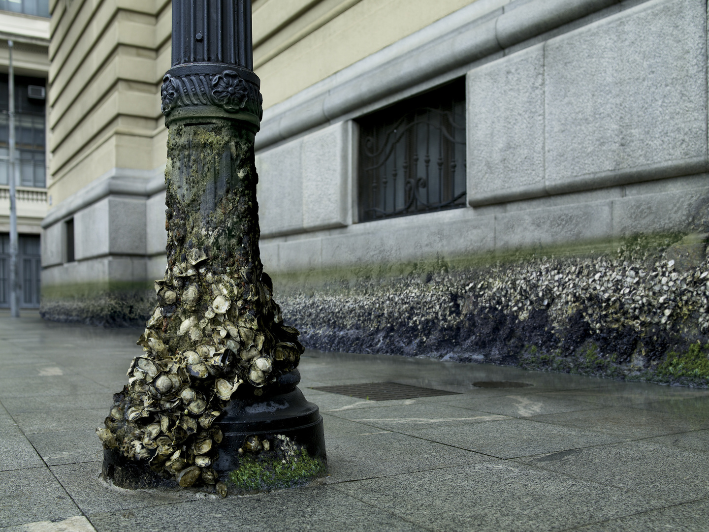 Image — Laurent Seroussi